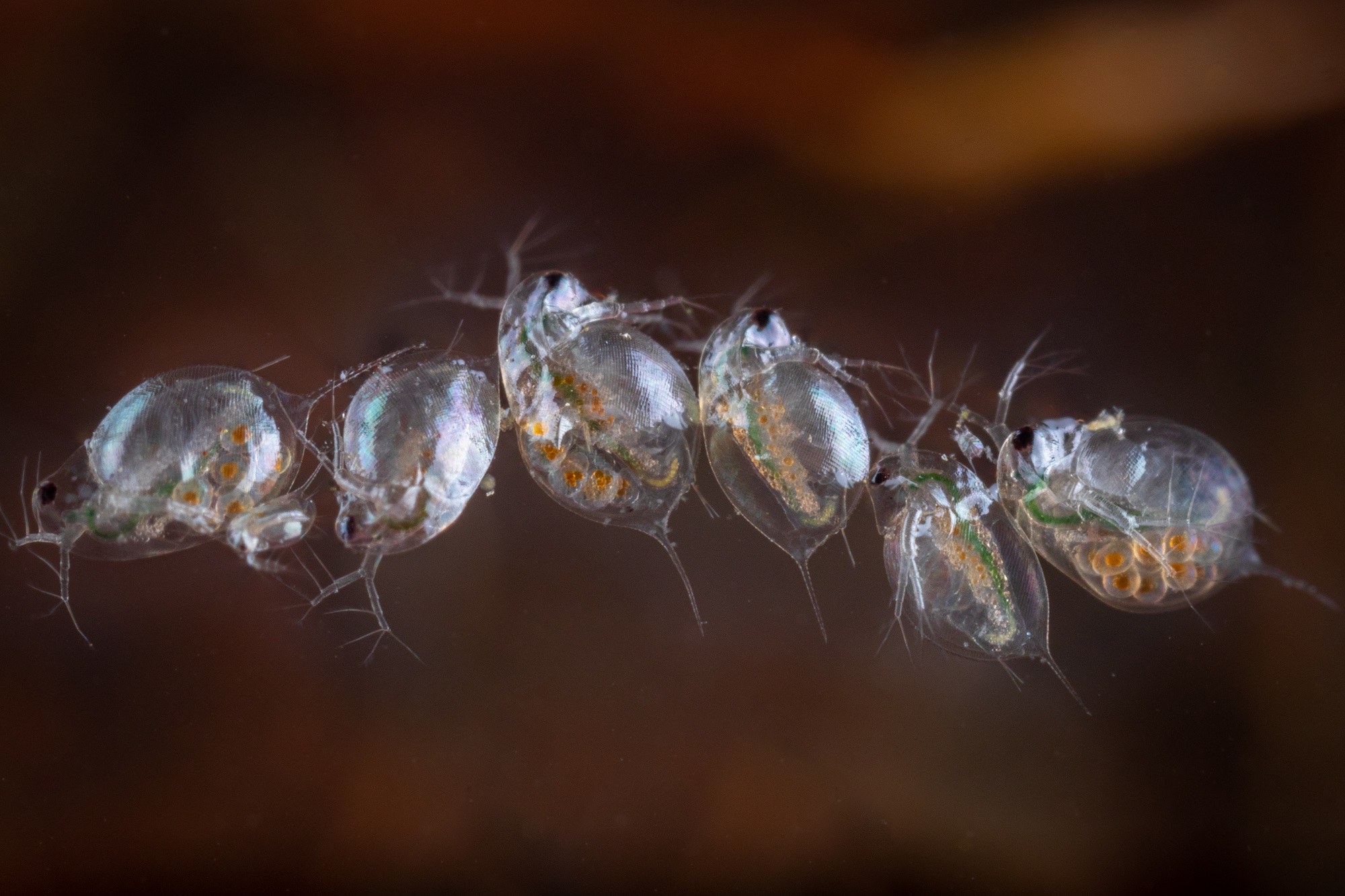 Wenn die Dunkelheit verschwindet | IGB